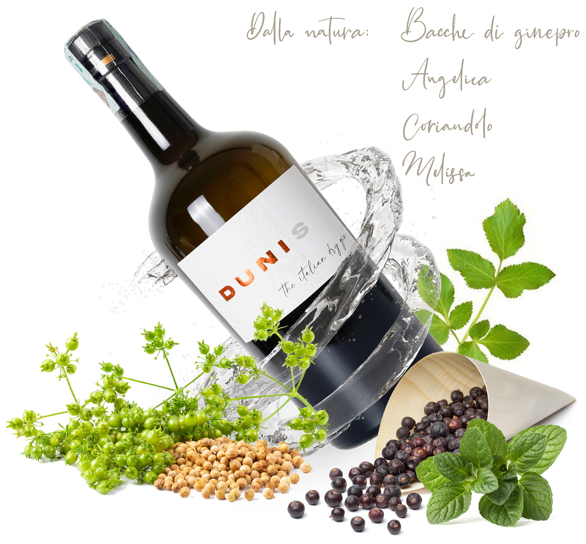 Dunis Gin, il Gin della Valsabbia